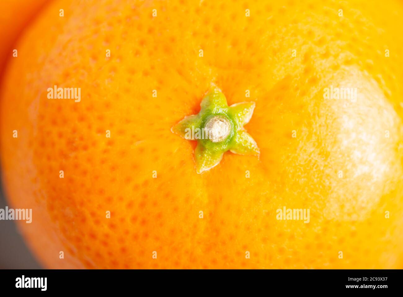 An extreme close-up or macro shot of the top portion of the skin and ...