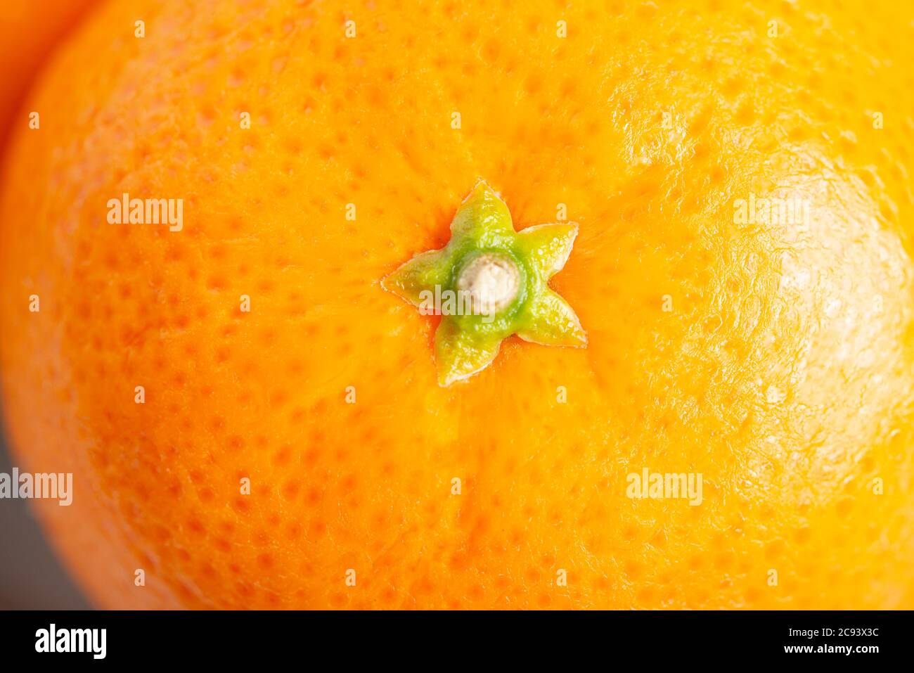 An extreme close-up or macro shot of the top portion of the skin and ...