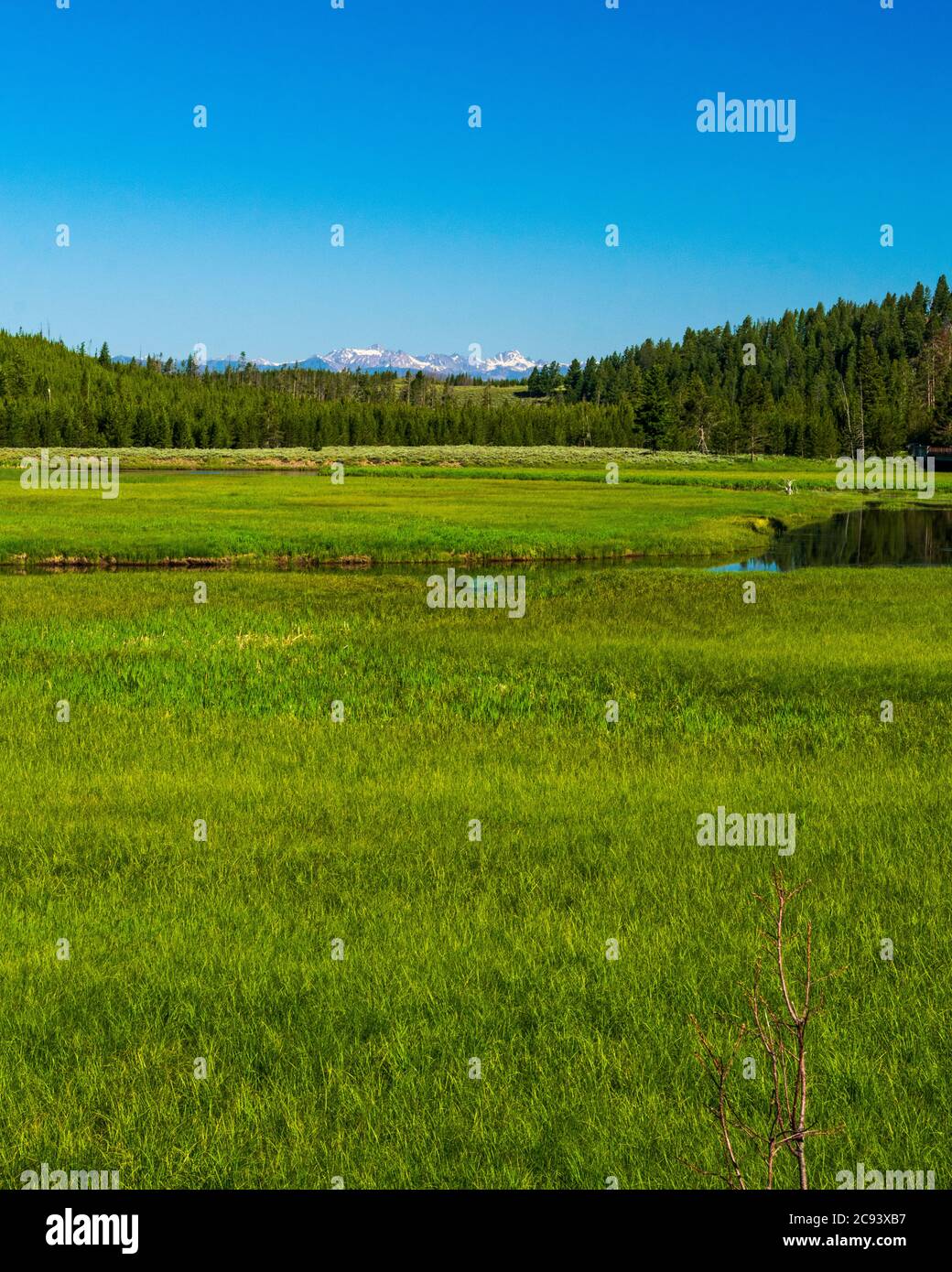 The Madison River meanders through a quiet meadow in Yellowstone ...