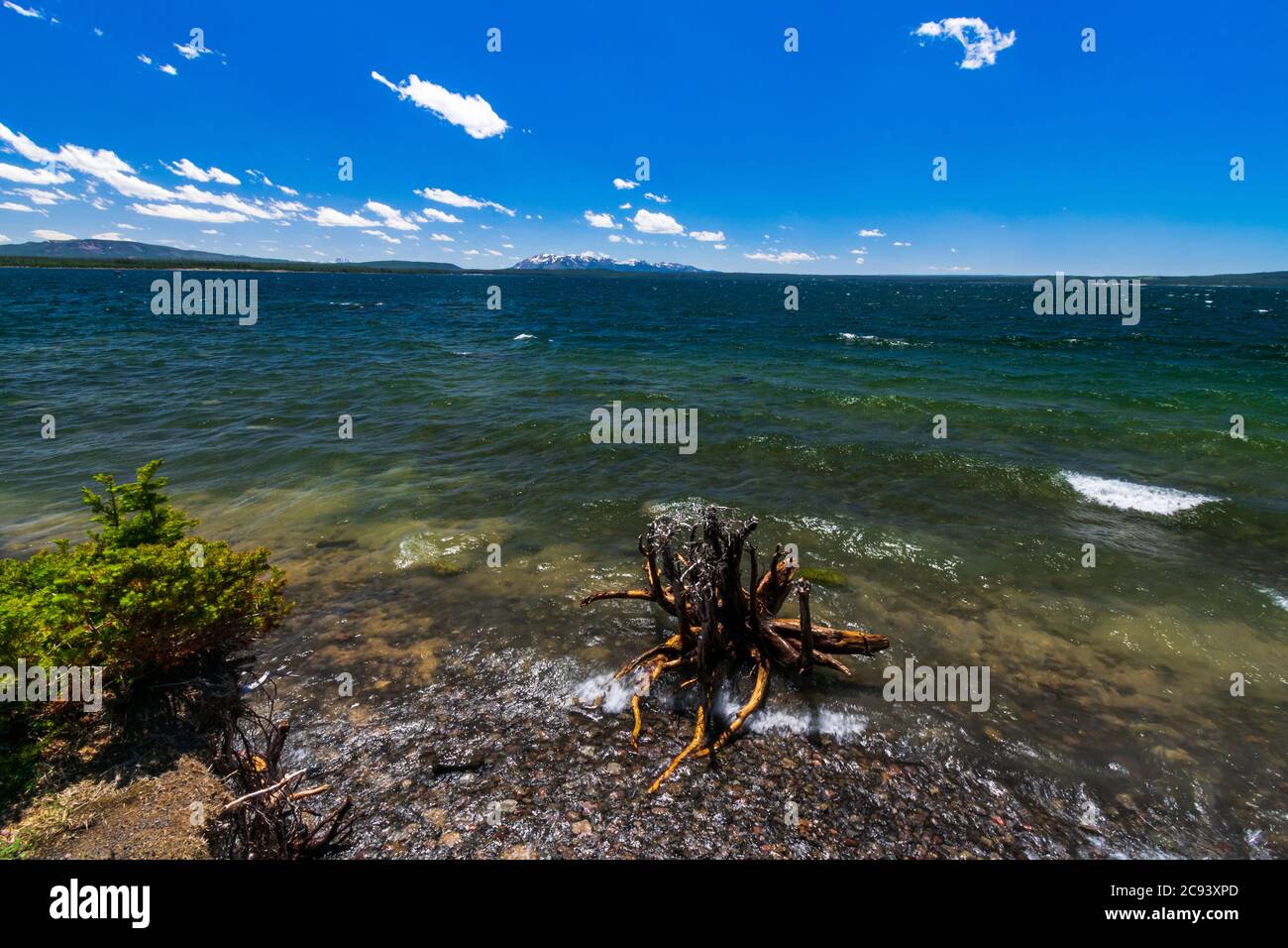 Shore of Yellowstone Lake with mountains in background, Yellowstone ...