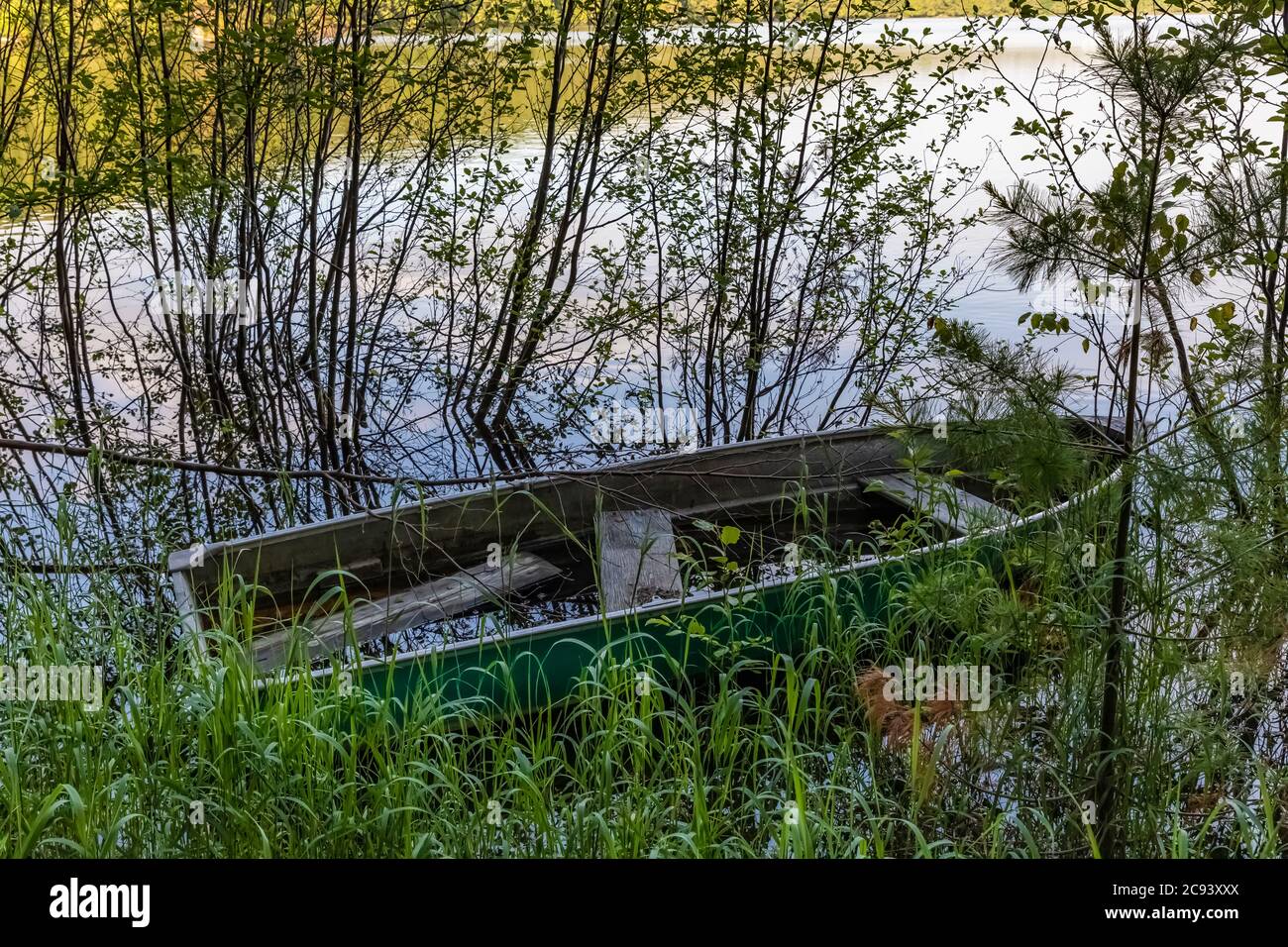 Small fishing boat abandoned and filled with water at edge of Imp Lake ...