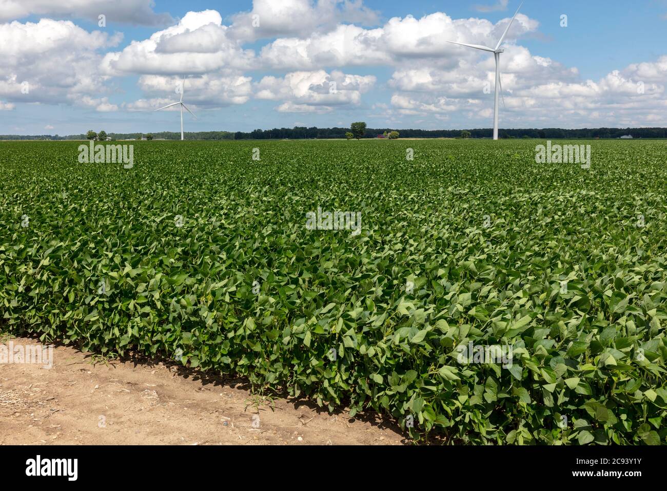Wind Tiurbines, under construction, Wind farm, near Rosebush, Michigan ...