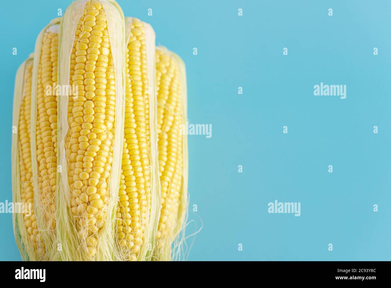 vegetables and fruits, agriculture, gastronomy, harvest concept ...