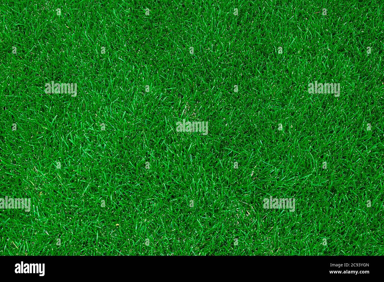 Green Grass texture during spring and summer Stock Photo - Alamy