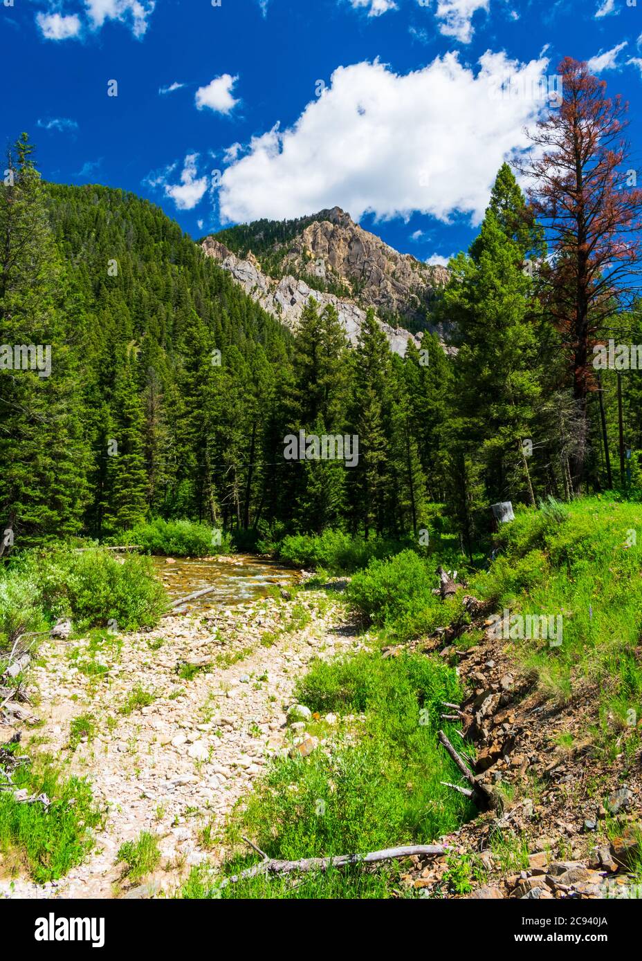 Creek flows through fault scarp next to campground near Hebgen Lake ...