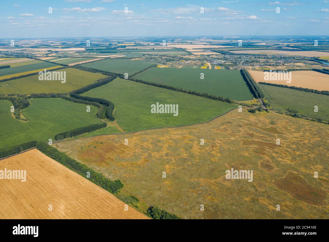 Green and yellow harvest fields aerial view, flight above on drone ...