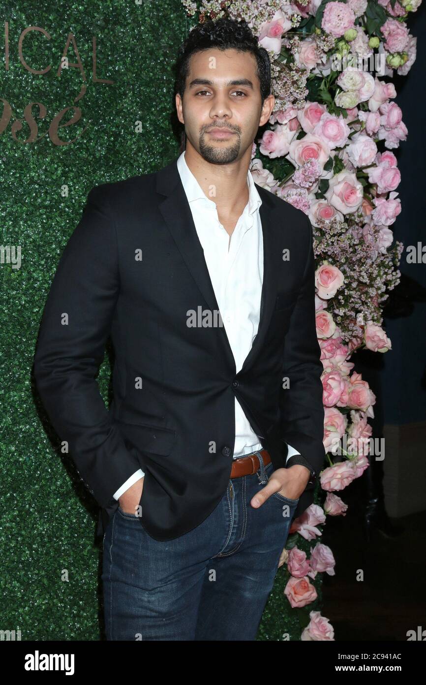 LOS ANGELES - MAR 11: Devin Harris at the Seagram's Escapes Tropical ...