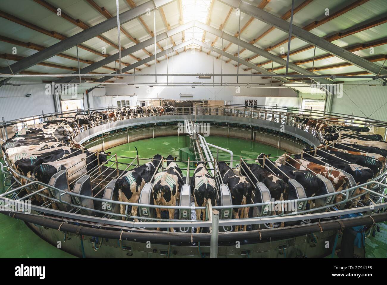 Dairy Farming Equipment