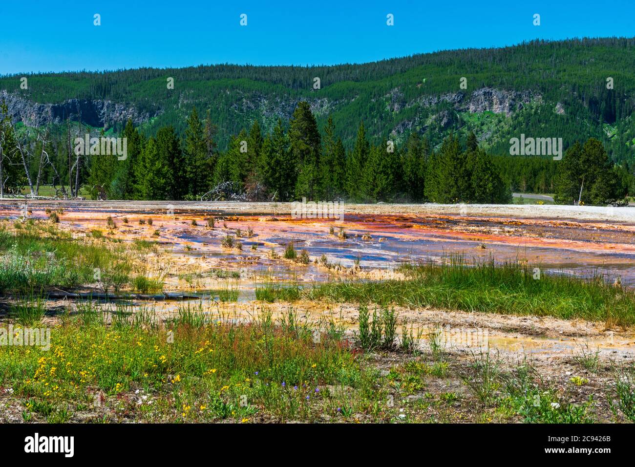 Multicolored runoff from thermal pool in Yellowstone National Park ...