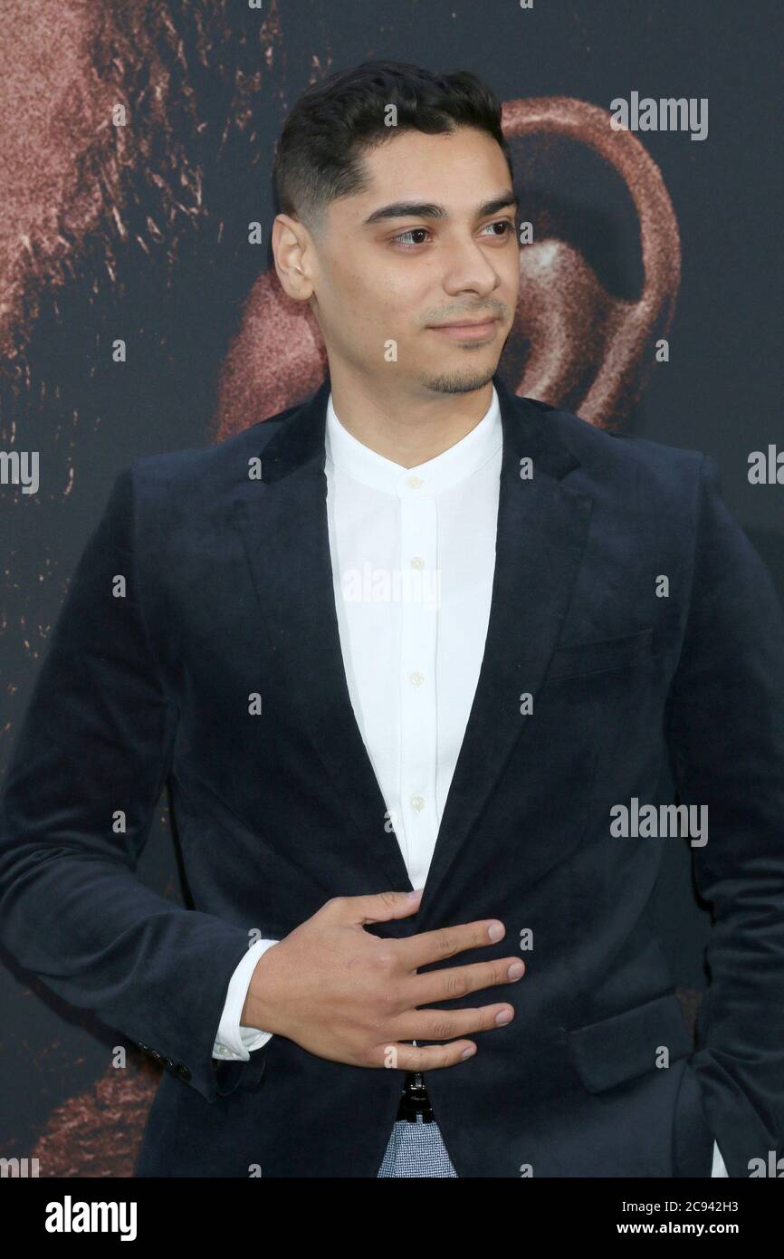 LOS ANGELES - MAR 1: Fernando Luis Vega at the The Way Back Premiere at ...
