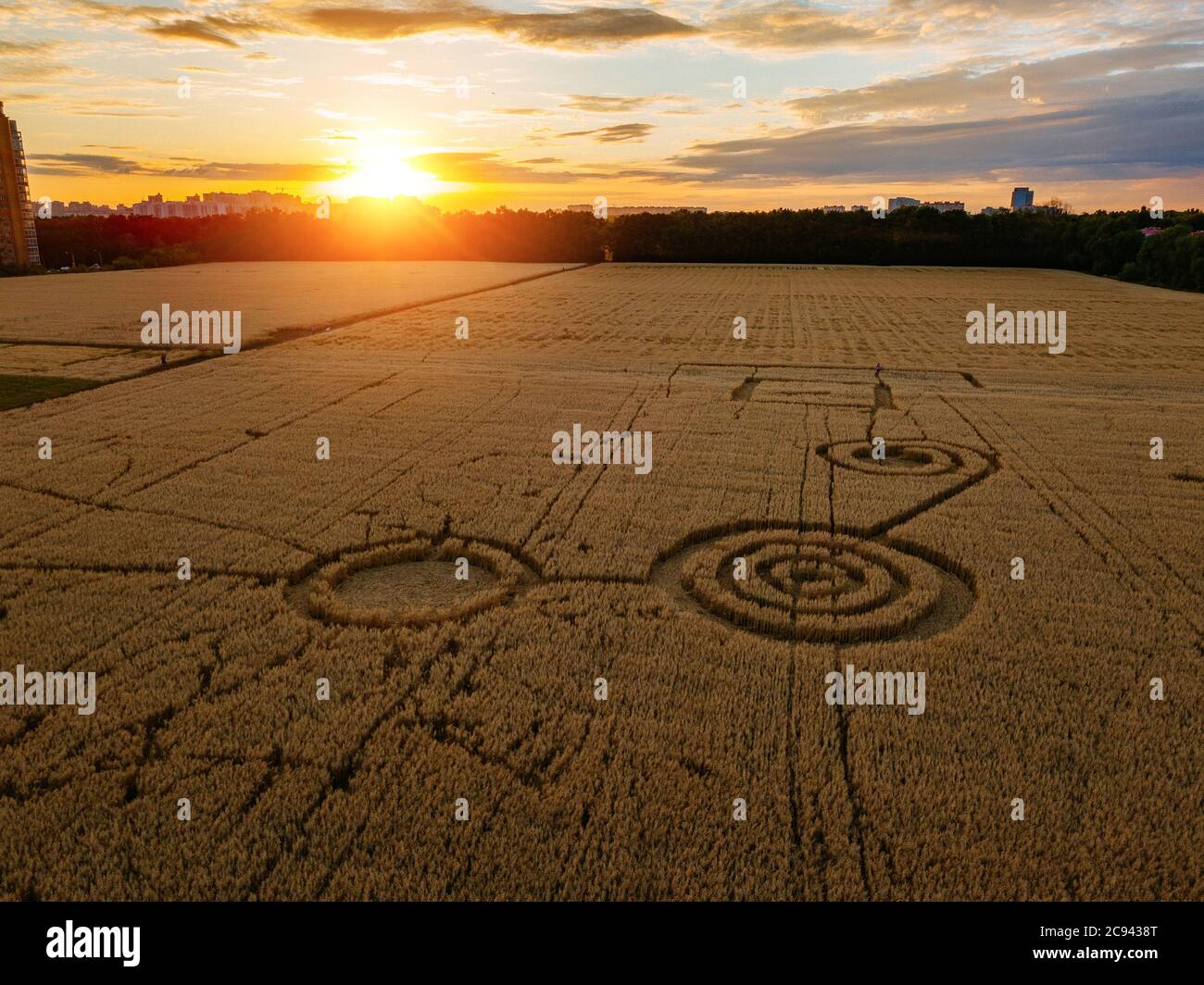 Mysterious crop circle in oat field near the city at the evening sunset ...