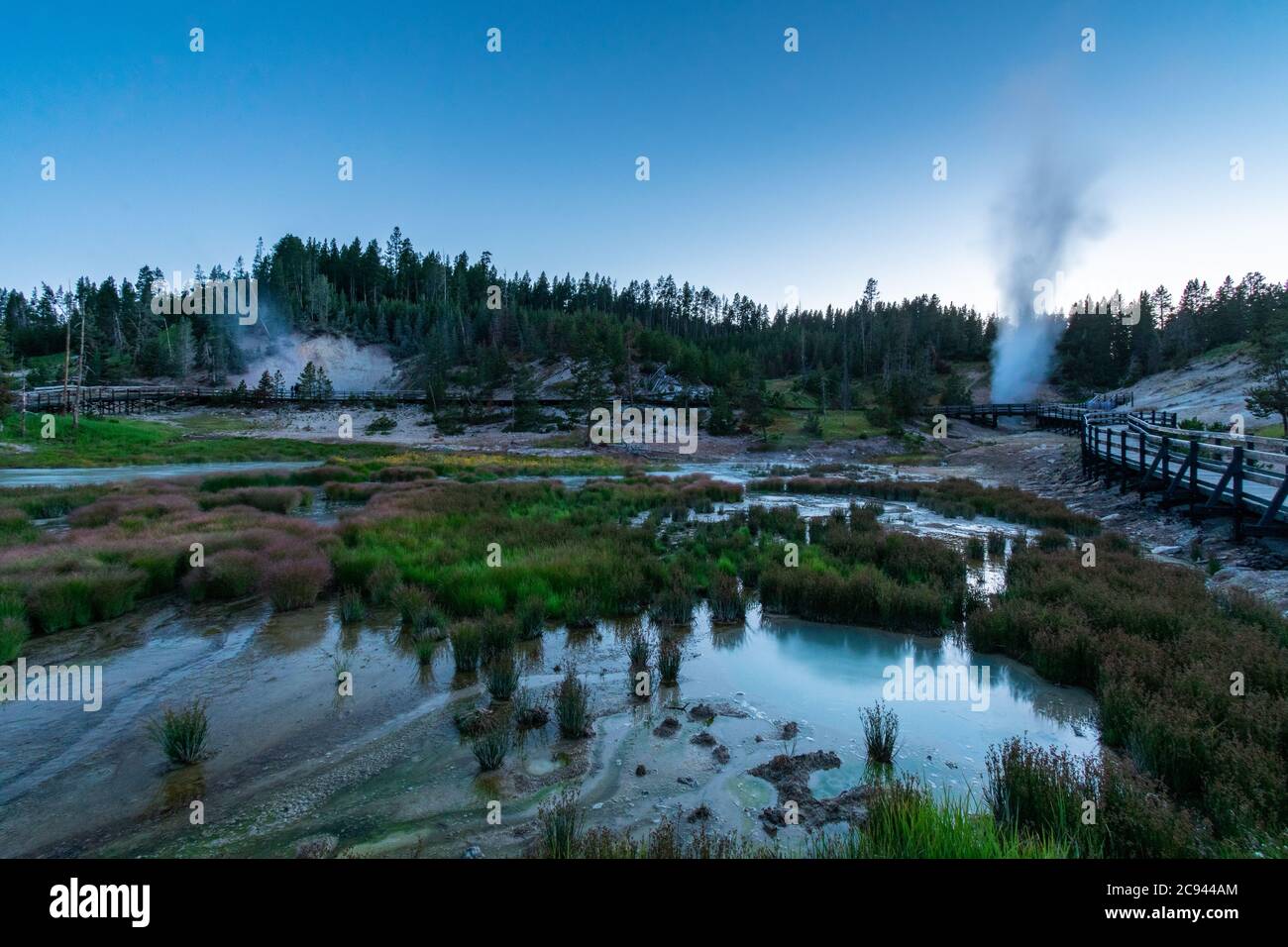 Mud Volcano Thermal Area at Night, Yellowstone National Park Stock ...