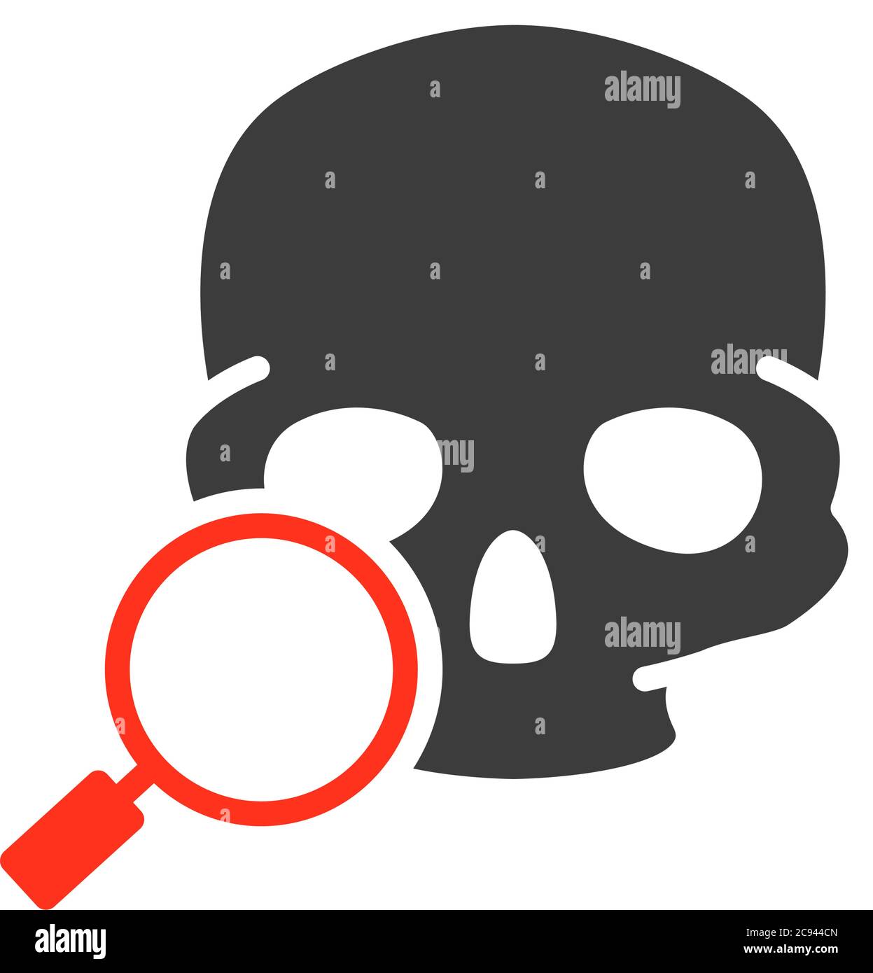 Skull with magnifying glass colored icon. Cranium research, bone ...