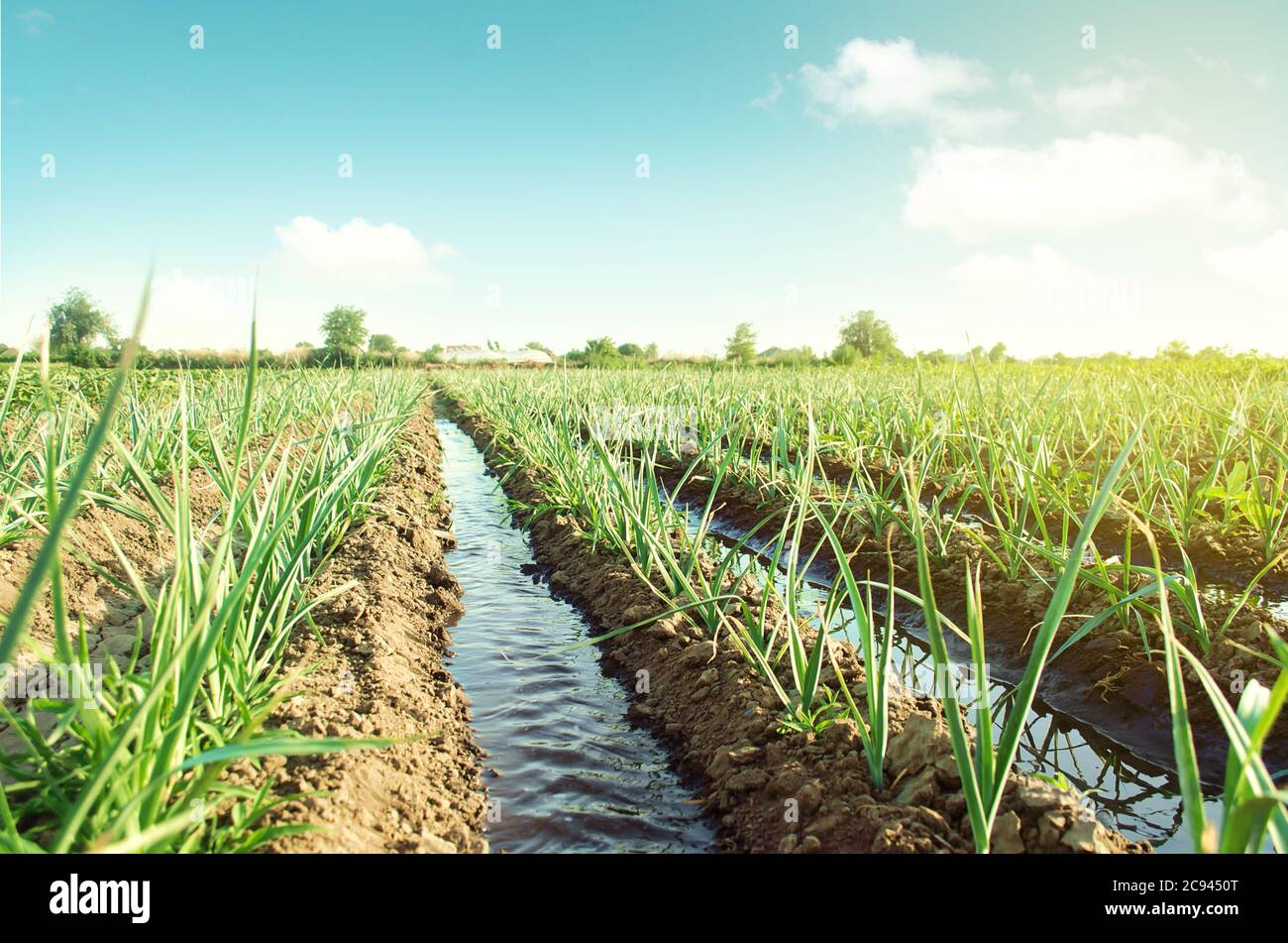 Irrigation canals hi-res stock photography and images - Alamy
