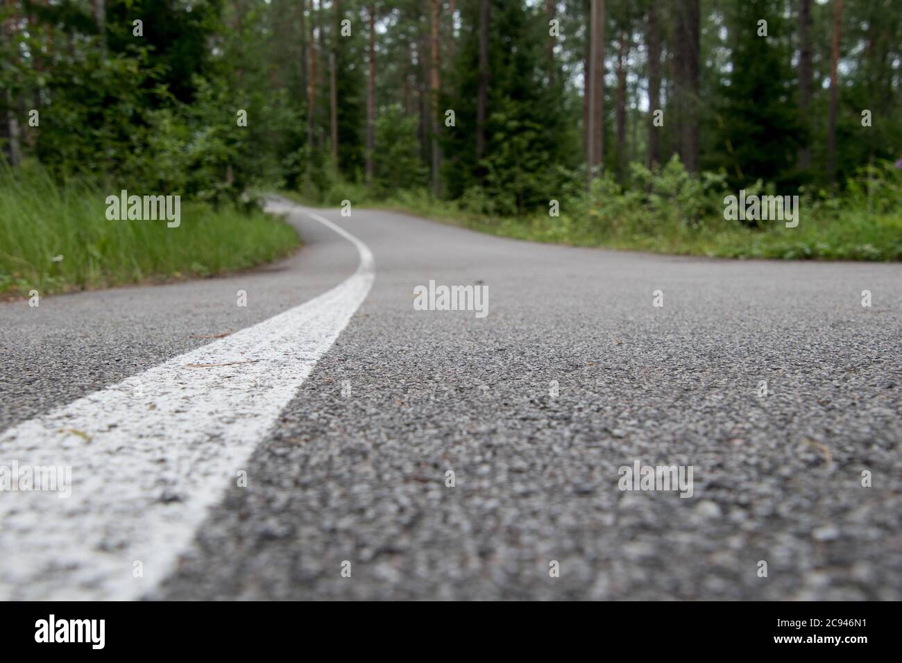 White line on the park road with narrow focus Stock Photo - Alamy