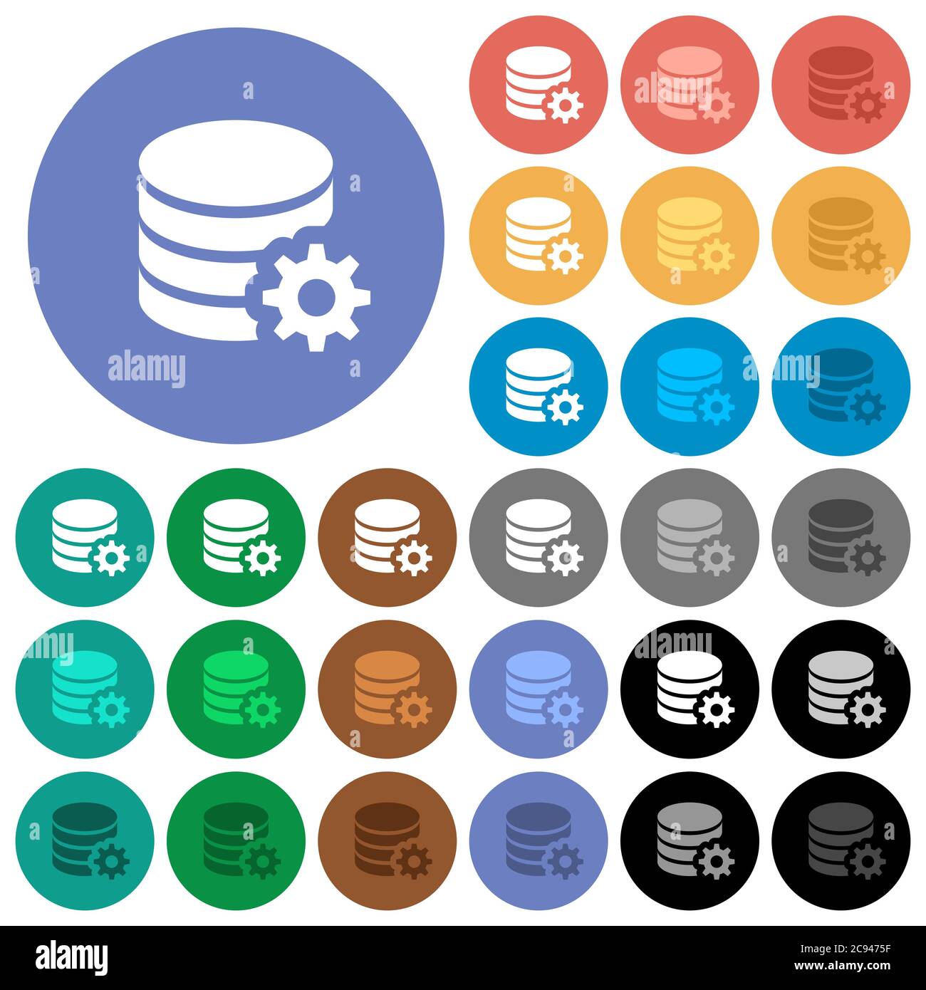 Database configuration multi colored flat icons on round backgrounds ...