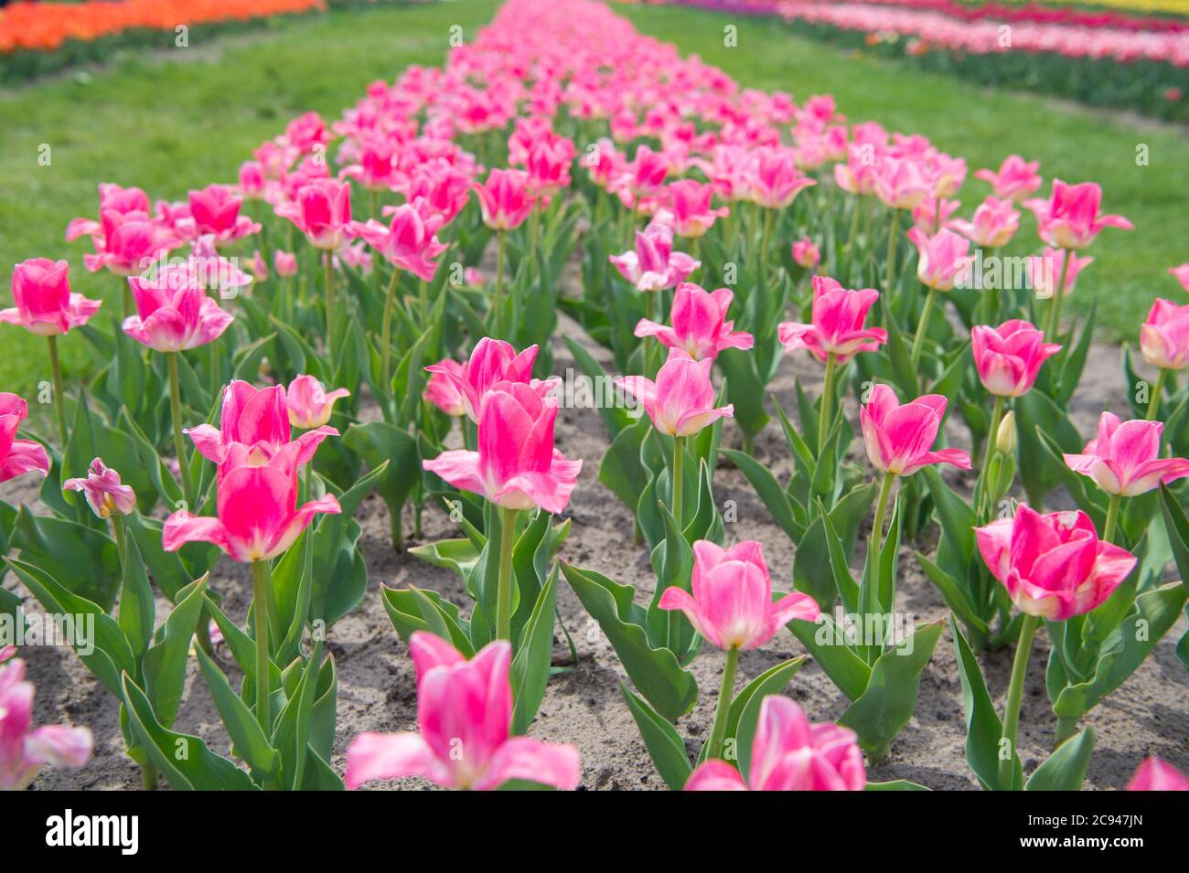 You are so beautiful. nature landscape sightseeing in Europe. fresh ...