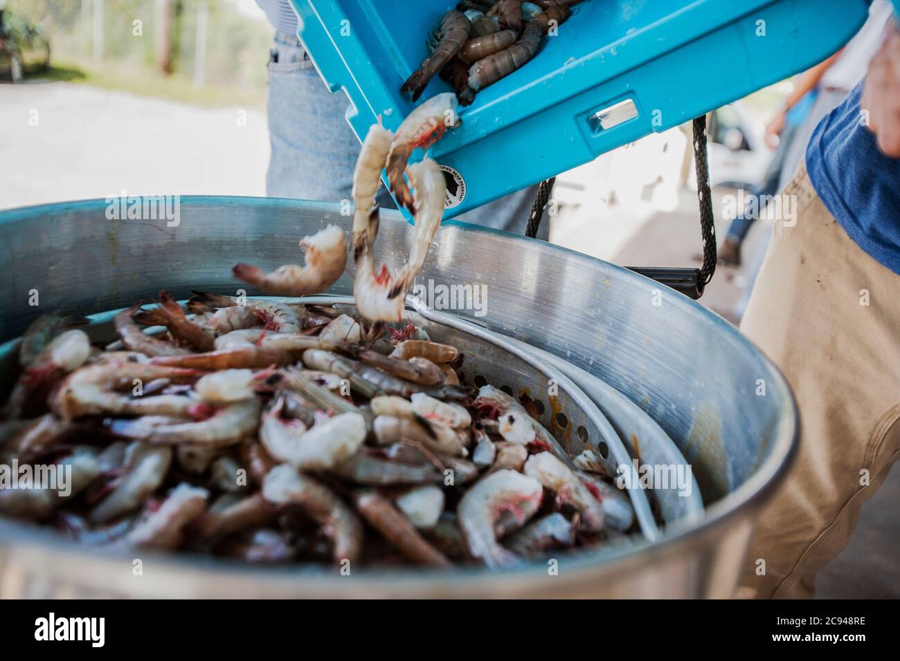 Rick cooper photography hi-res stock photography and images - Alamy