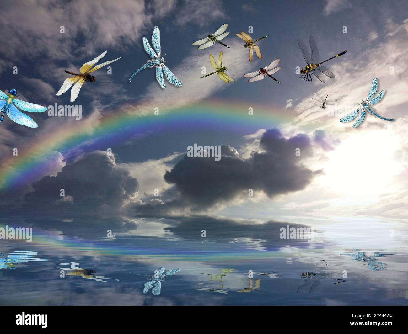 Natural background with dragonflies and rainbow in sea reflection Stock ...