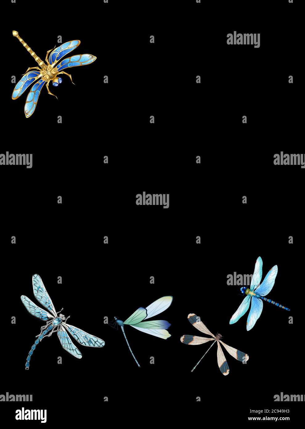 Natural background with dragonflies and rainbow in sea reflection Stock ...