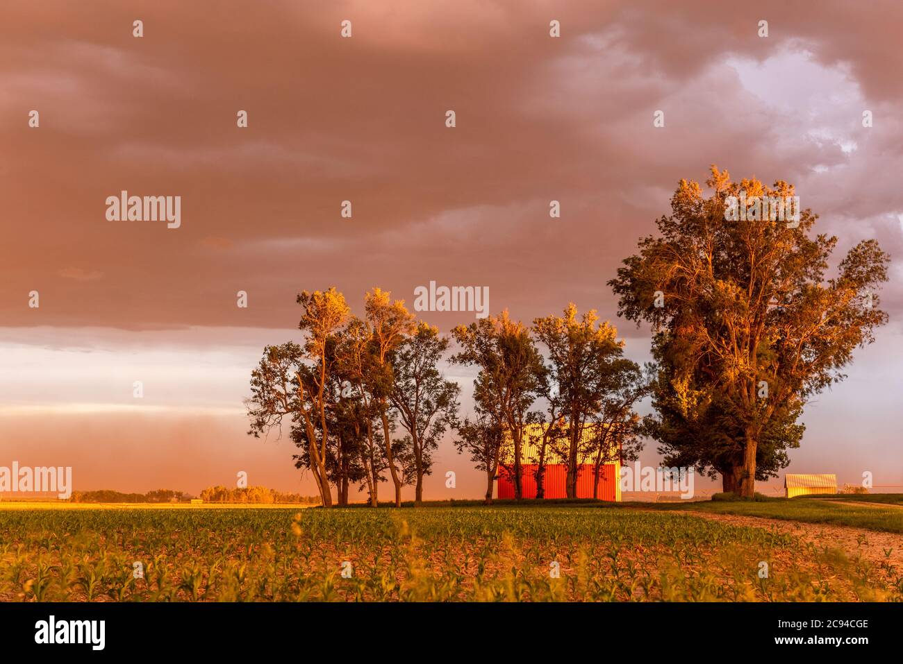Dust storm hi-res stock photography and images - Alamy