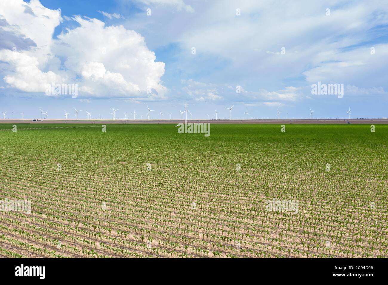 Midwest wind farming hi-res stock photography and images - Alamy