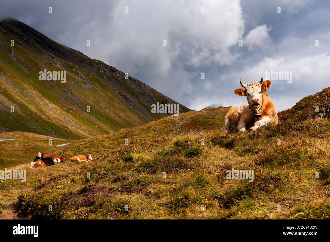 Things to do in grindelwald hi-res stock photography and images - Alamy