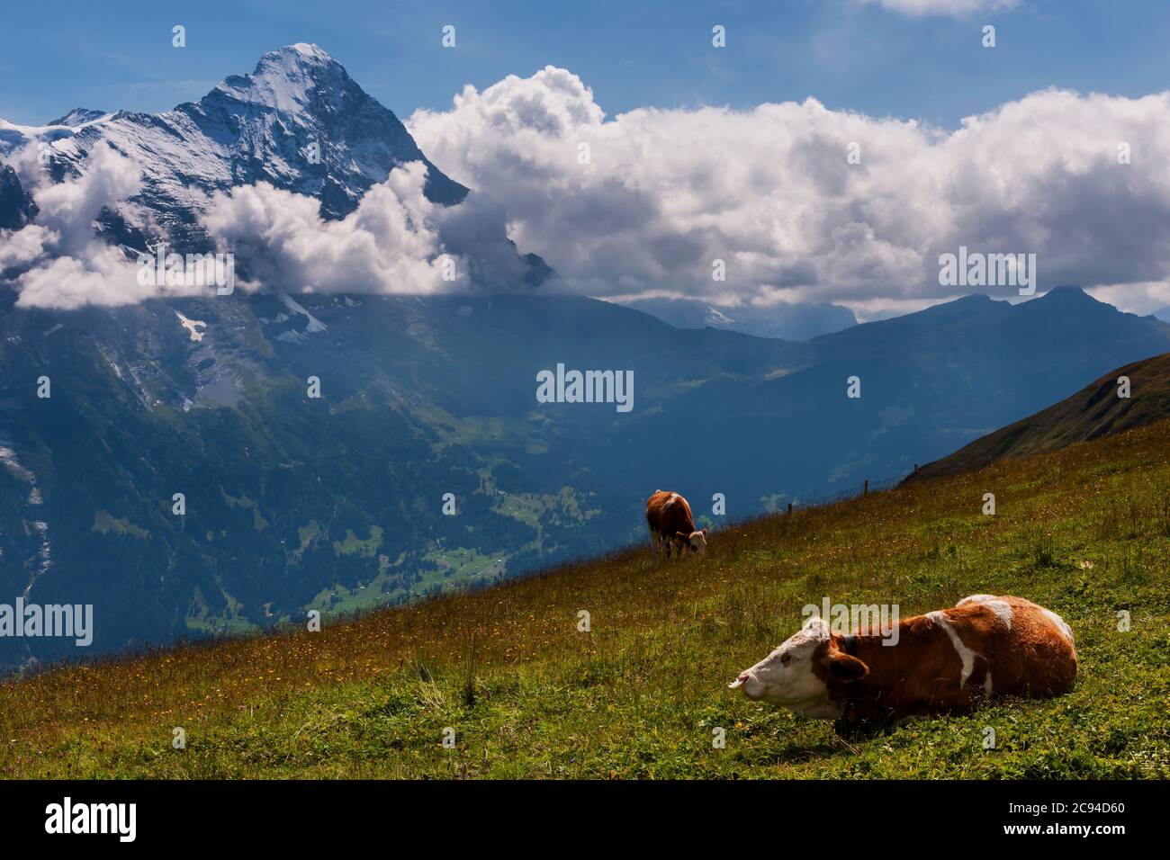 Things to do in grindelwald hi-res stock photography and images - Alamy
