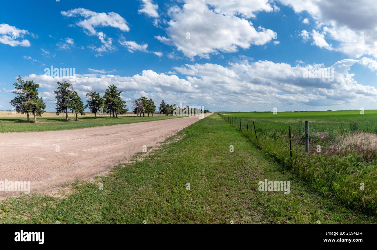 A horizontal image of a dirt road framed against farming fields and ...