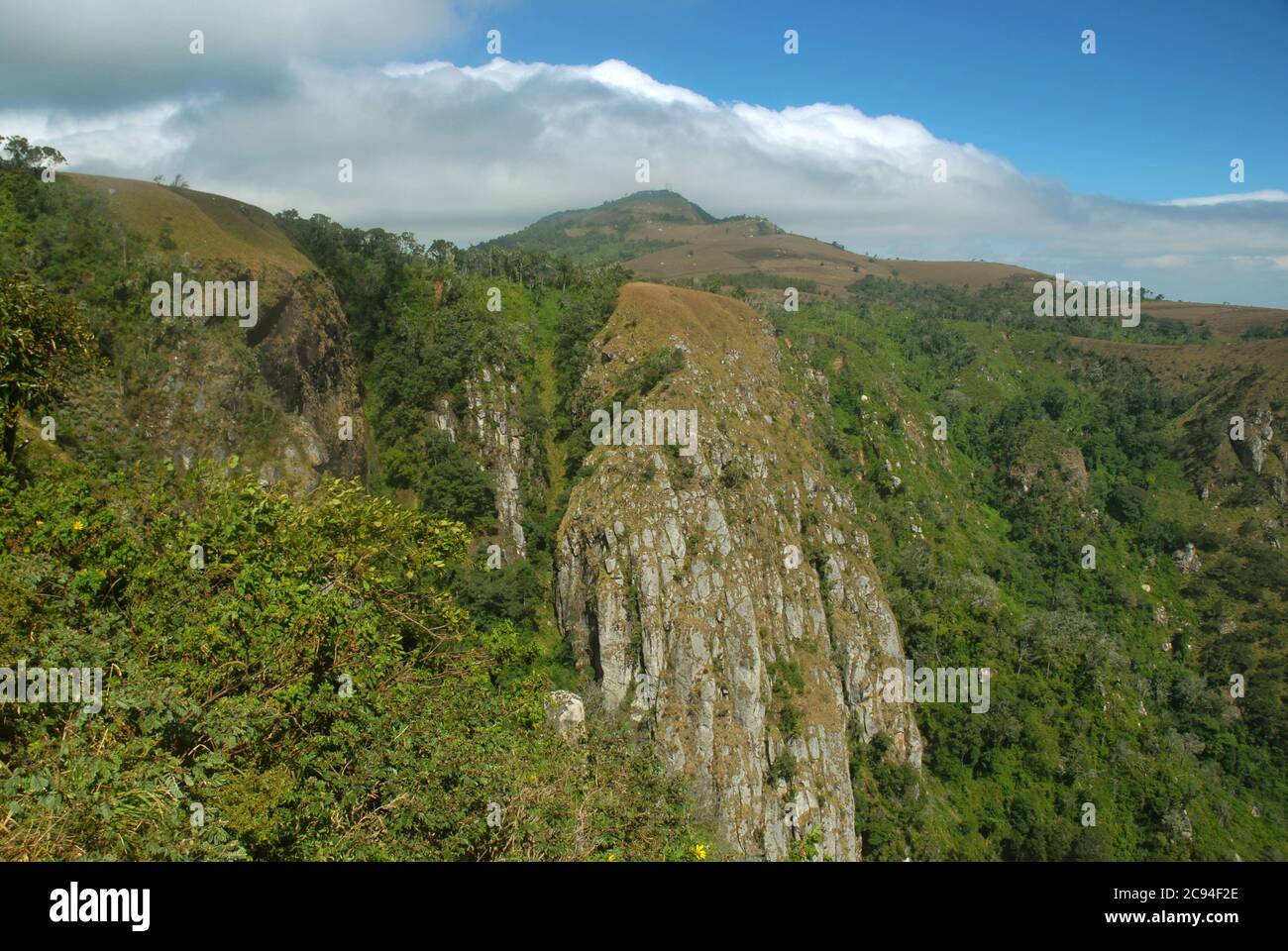 View along the edge of the plateau towards Malumbe Peak, Zomba Plateau ...