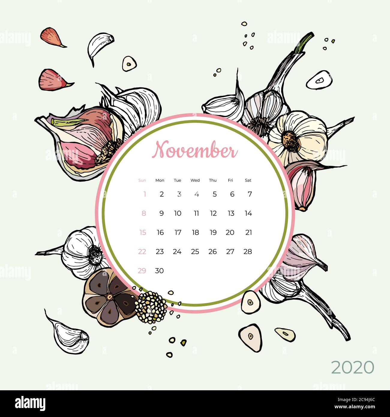 2020 November calendar vegetable. White garlic groceries art vector set ...