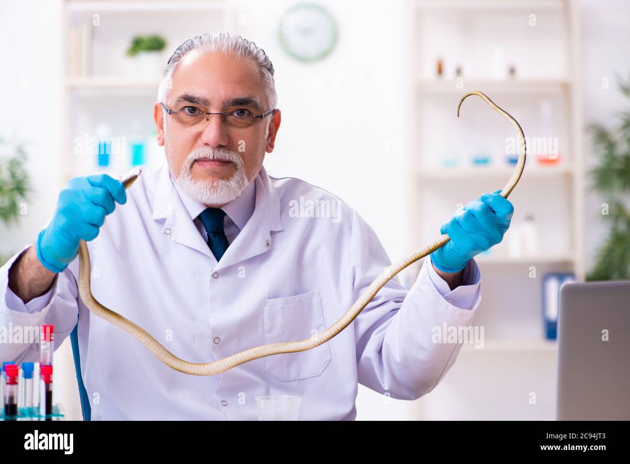Old chemist holding snake at science laboratory Stock Photo - Alamy