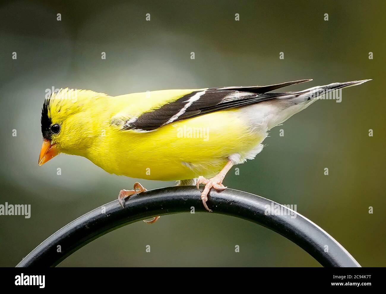 Curved metal post on hi-res stock photography and images - Alamy