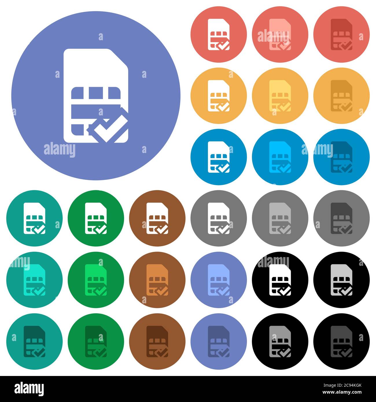SIM card accepted multi colored flat icons on round backgrounds ...