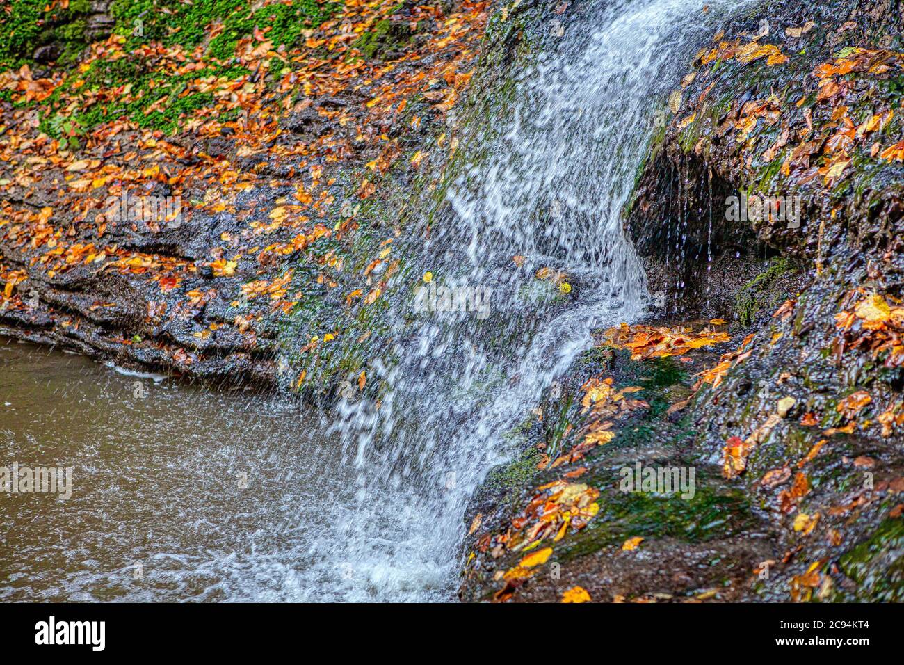 Water splashing of forest brook . Water cascade in the Autumn Stock ...