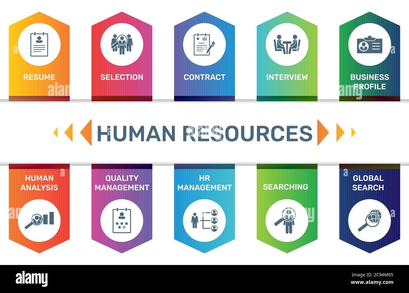 Vector Infographic template Human Resources data visualization. 10 step ...