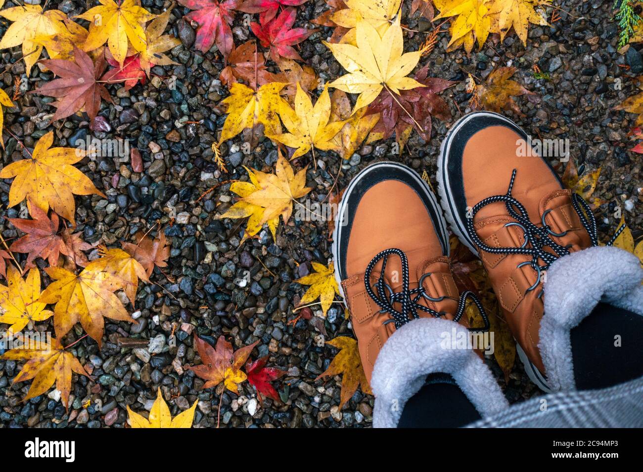 Fall, autumn, leaves, legs and shoes. Conceptual image of legs in boots ...