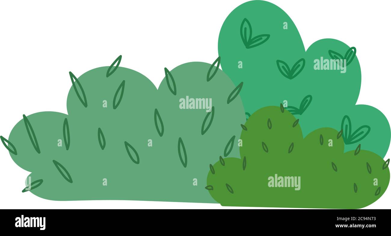 bush foliage natural vegetation isolated icon design white background ...
