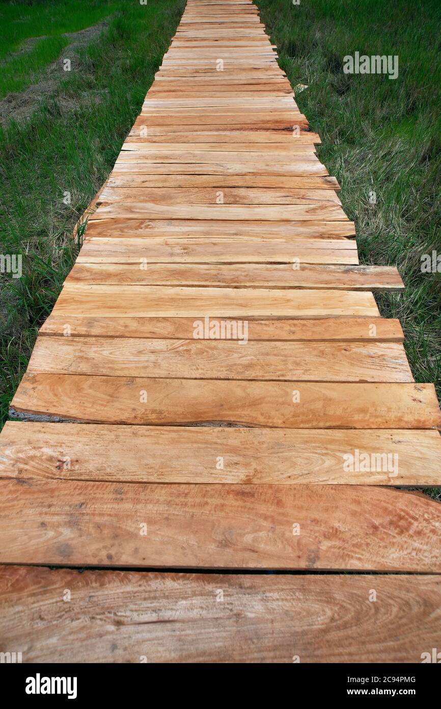 Plank walkway hi-res stock photography and images - Alamy