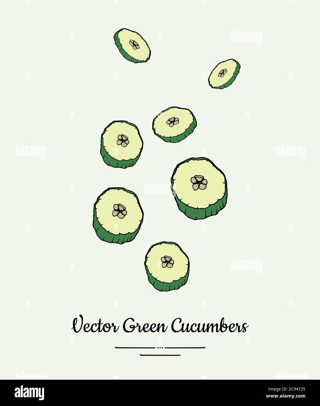 Cucumber vegetable vector isolate. Green chopped cucumber sliced rings ...