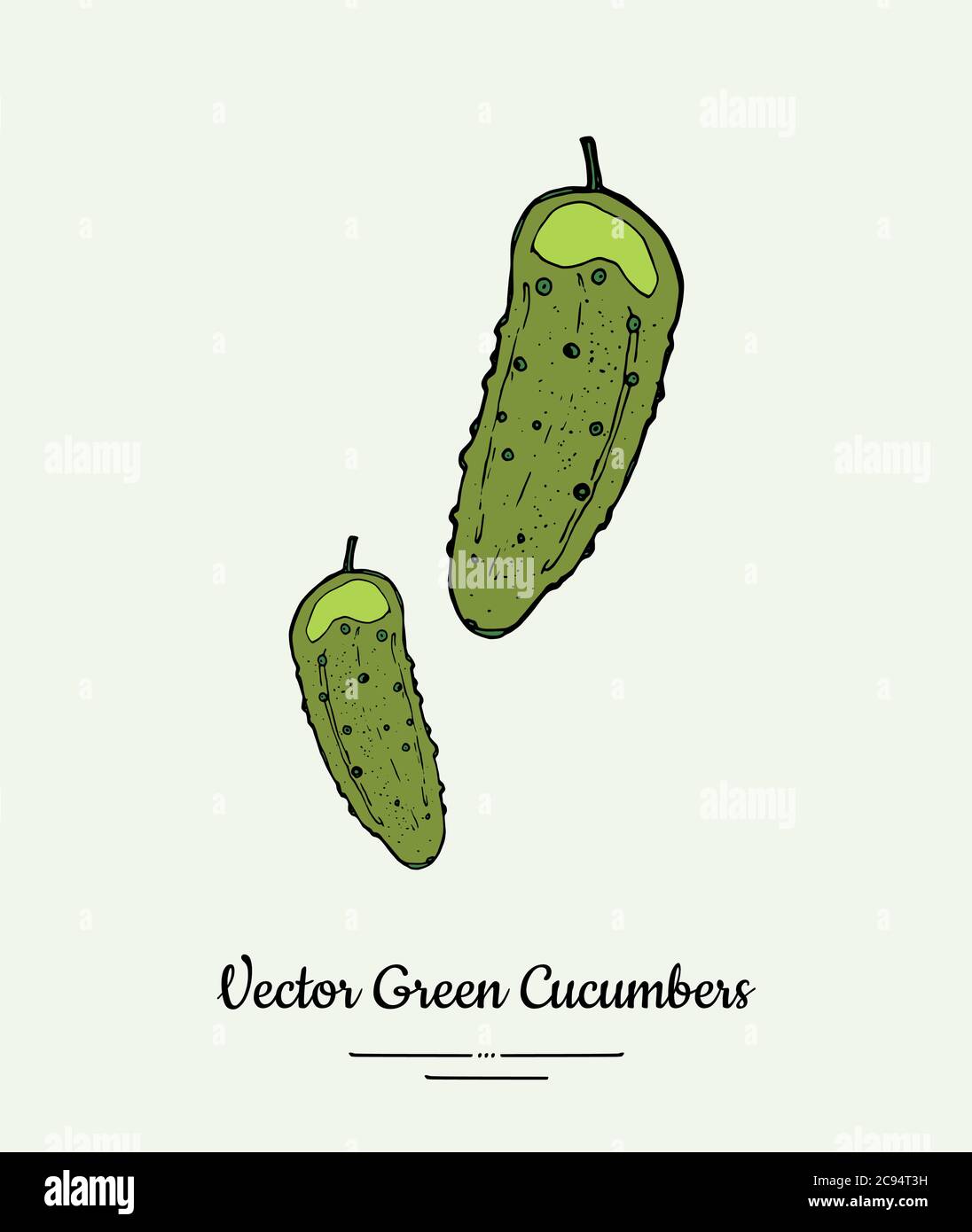 Cucumber vegetable vector isolate. Green whole cucumbers. Vegetables ...