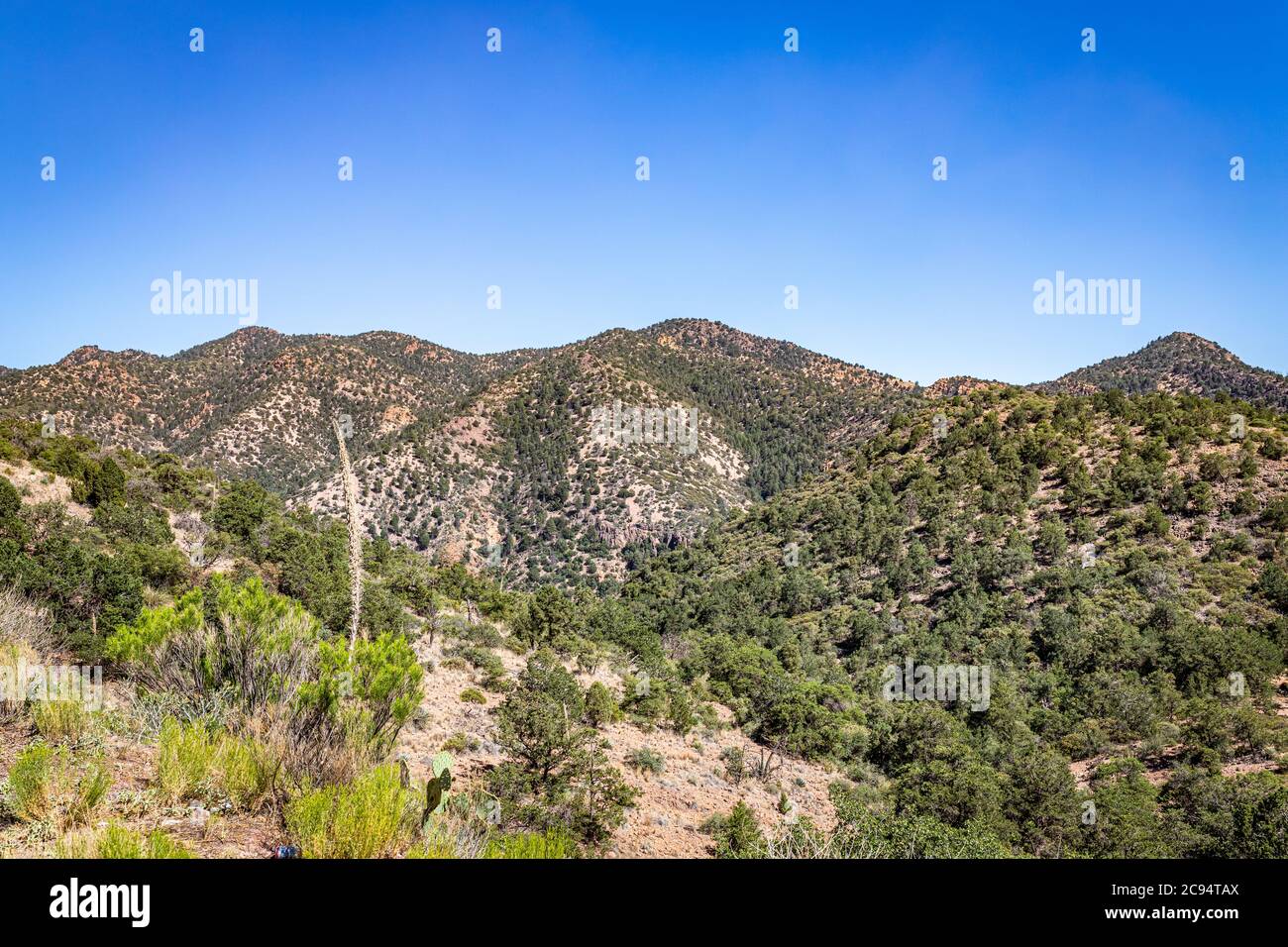 The Coronado Trail Scenic Byway connects Springerville and Clifton ...