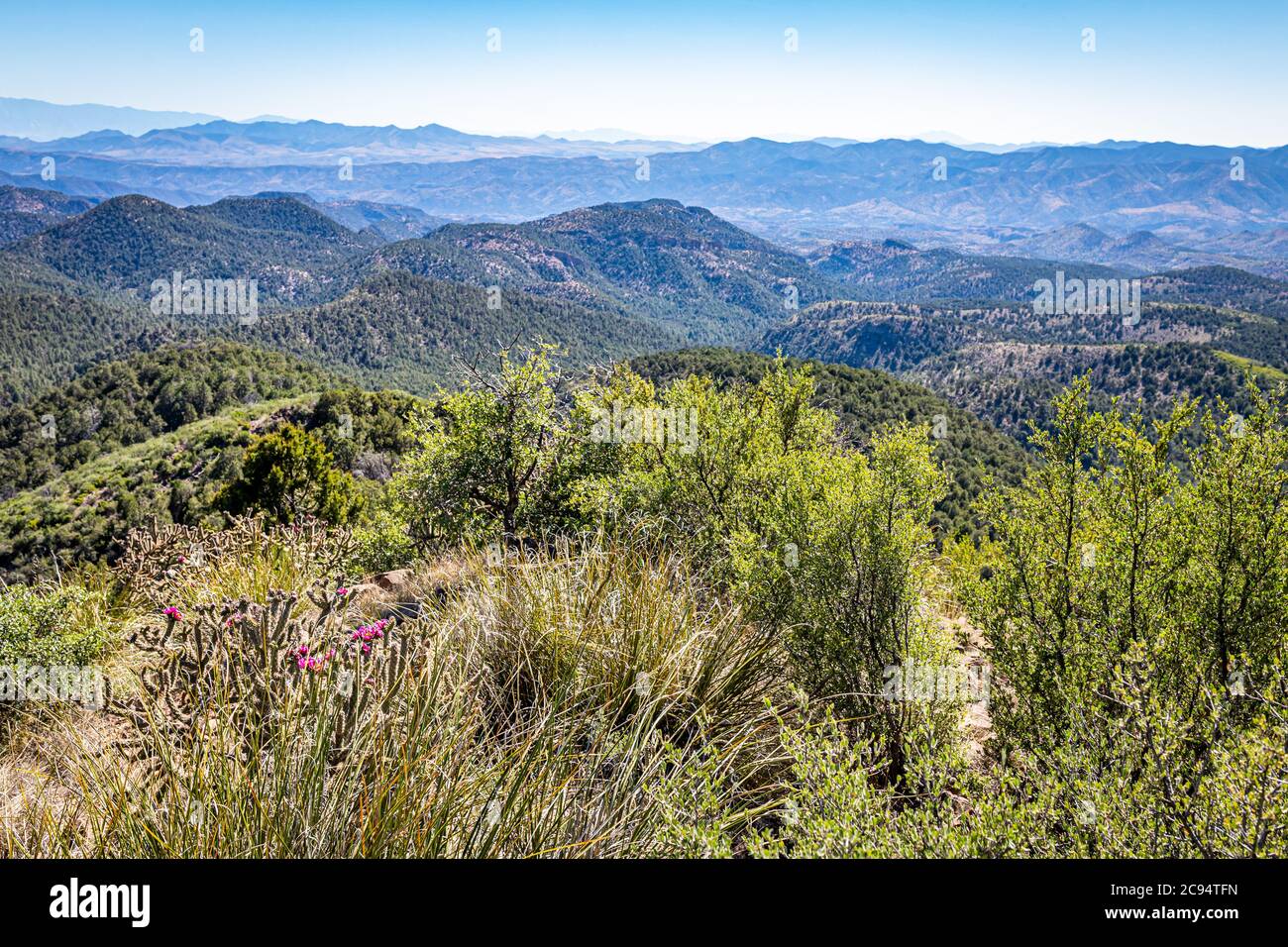 The Coronado Trail Scenic Byway connects Springerville and Clifton ...