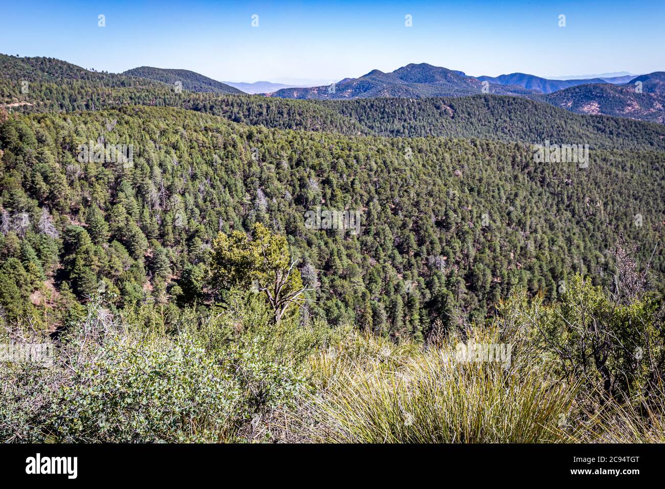 The Coronado Trail Scenic Byway connects Springerville and Clifton ...