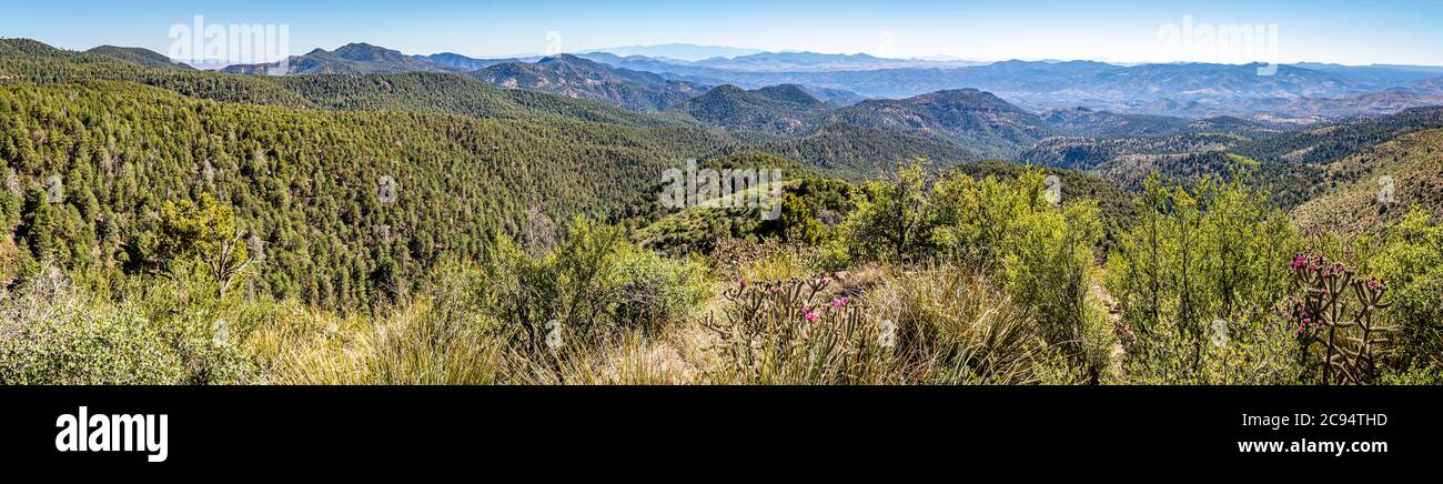 Coronado trail scenic byway arizona hi-res stock photography and images ...