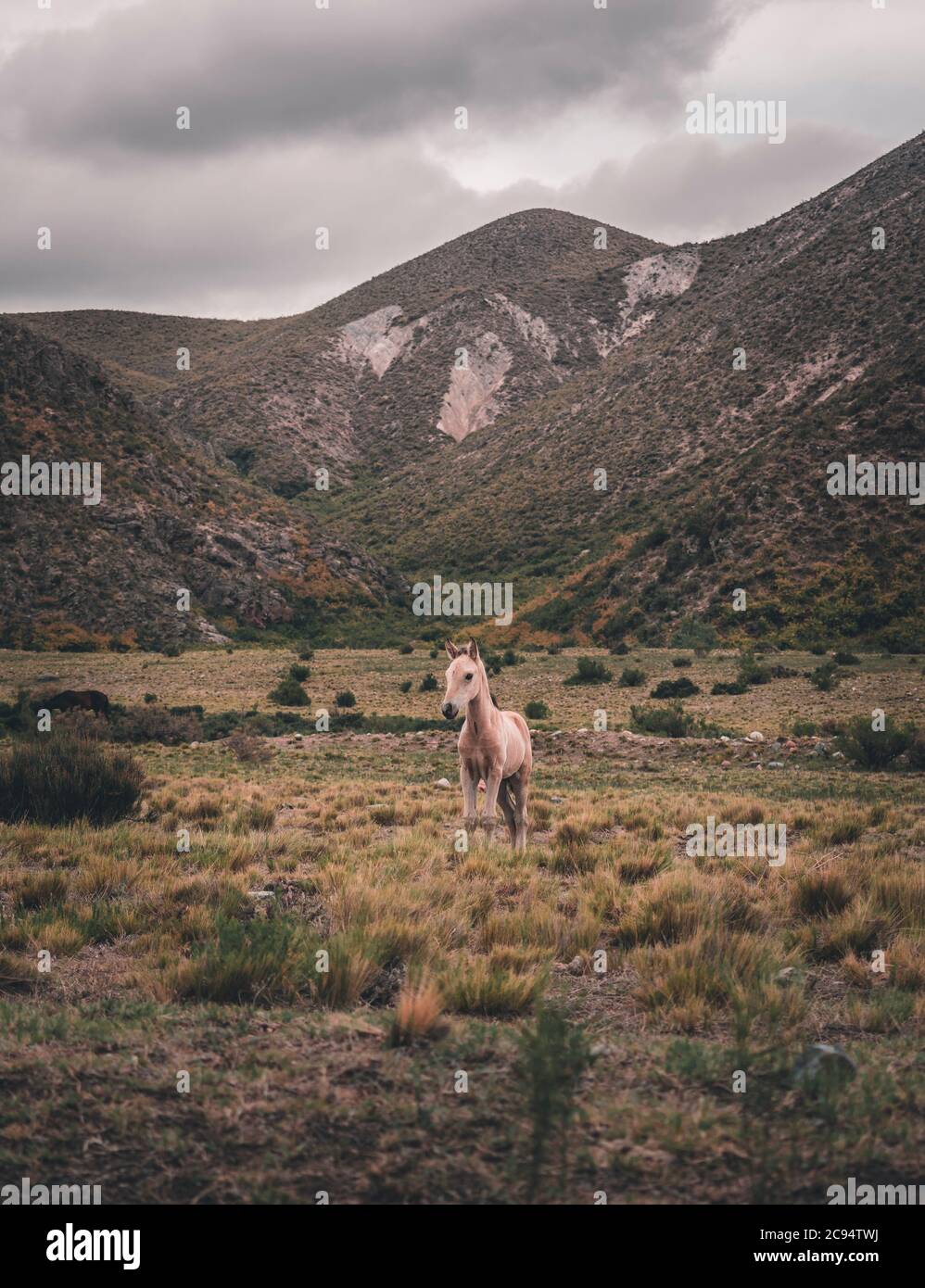 Uco valley argentina hi-res stock photography and images - Alamy