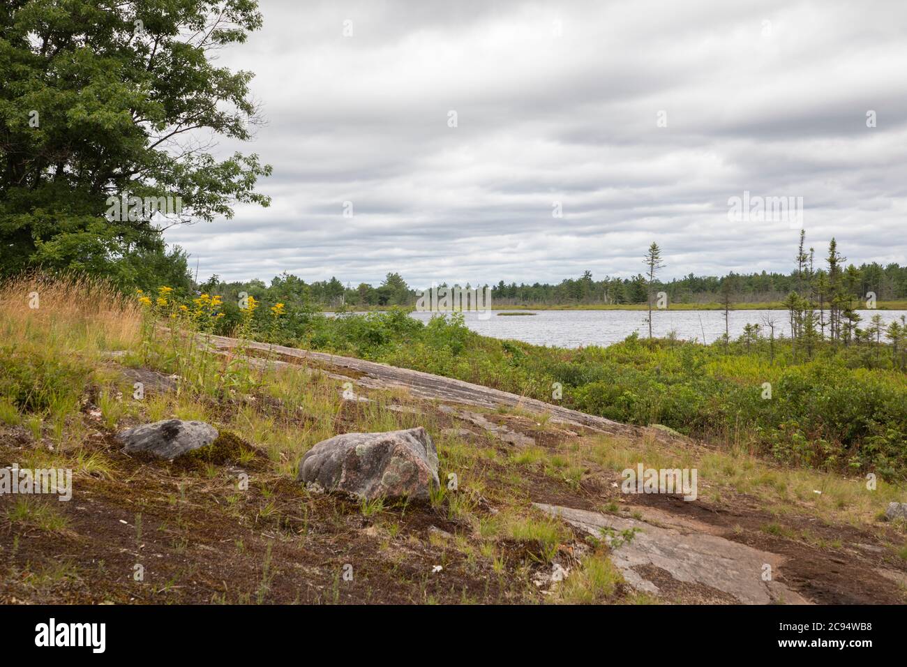 Glacial bedrock with vegetation and trees under stormy skies at ...