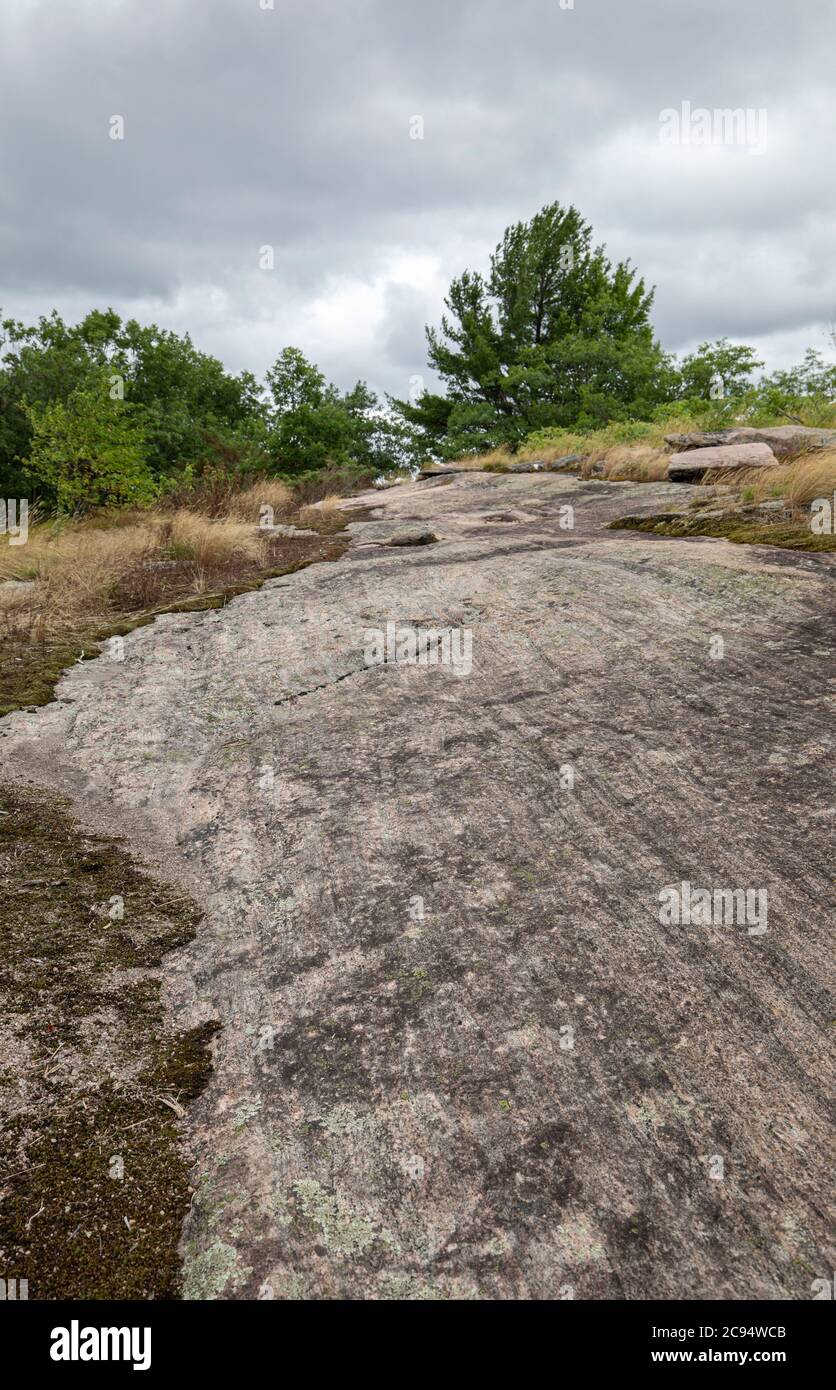 Glacial bedrock with vegetation and trees under stormy skies at ...