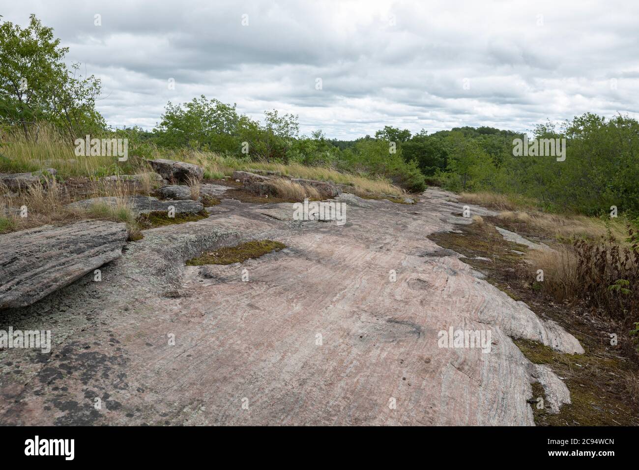 Glacial bedrock with vegetation and trees under stormy skies at ...