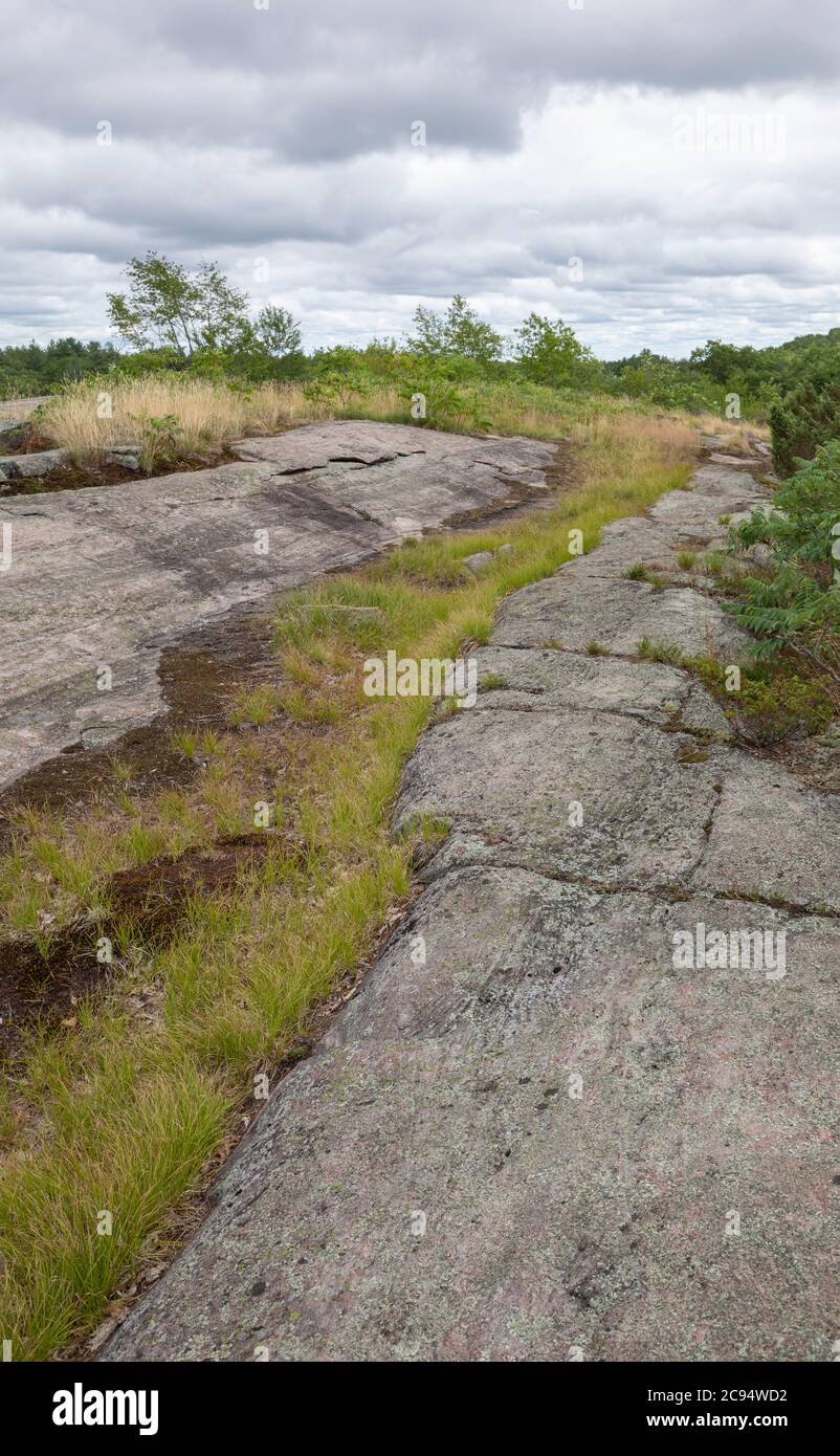Glacial bedrock with vegetation and trees under stormy skies at ...